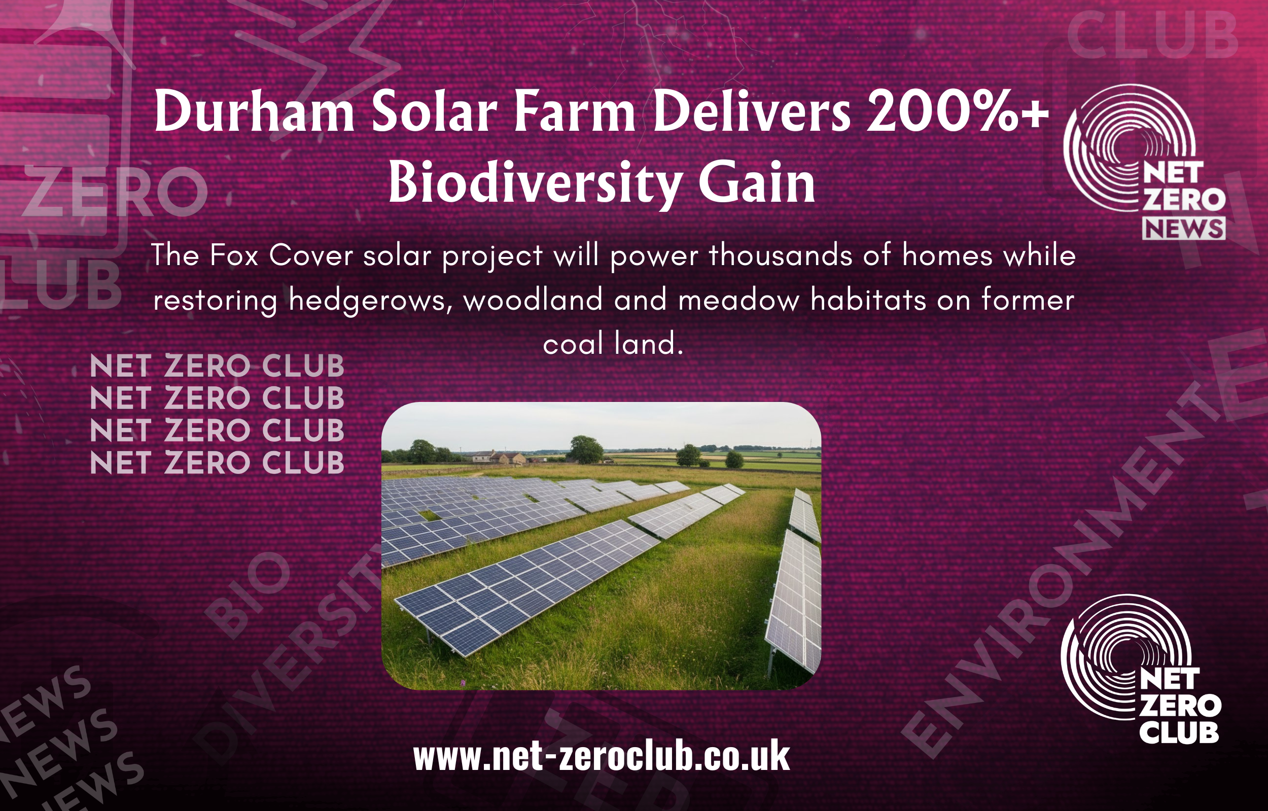 Fox Cover Solar Farm Delivers Massive Biodiversity Gain in Durham - Net ...